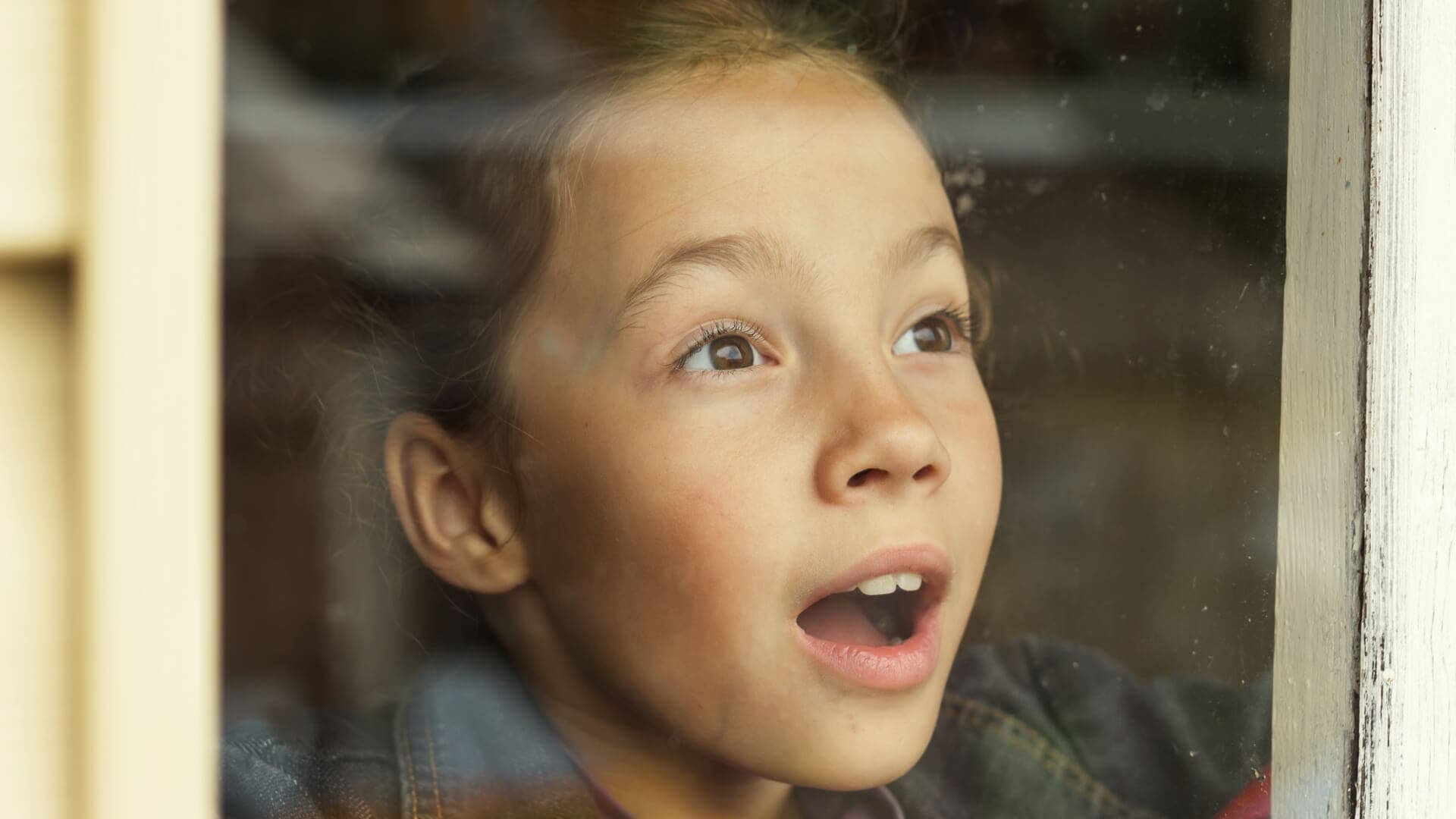 Educar pelo interesse e para o espanto - Ponto SJ